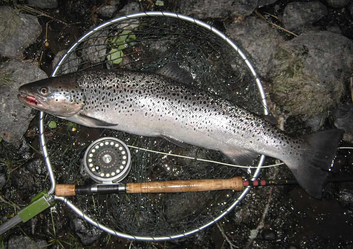 sea-trout-7-tube-fly - TUBE FLIES